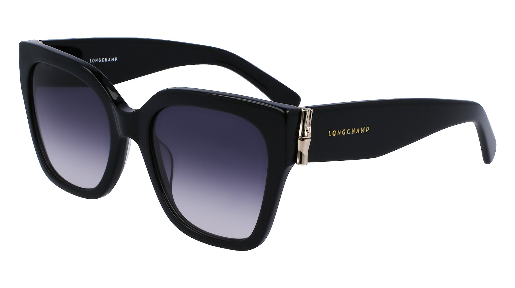 Longchamp LO732S Acetate Sunglasses | Fashion Eyewear US