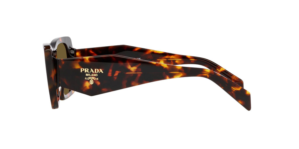 Prada SPR08Y Butterfly Sunglasses | Fashion Eyewear