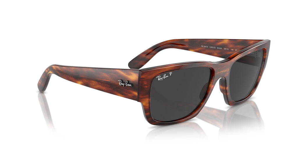 Ray-Ban Carlos RB0947S Rectangle Sunglasses | Fashion Eyewear
