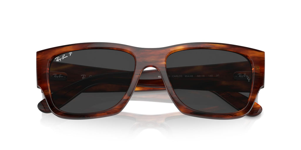 Ray-Ban Carlos RB0947S Rectangle Sunglasses | Fashion Eyewear