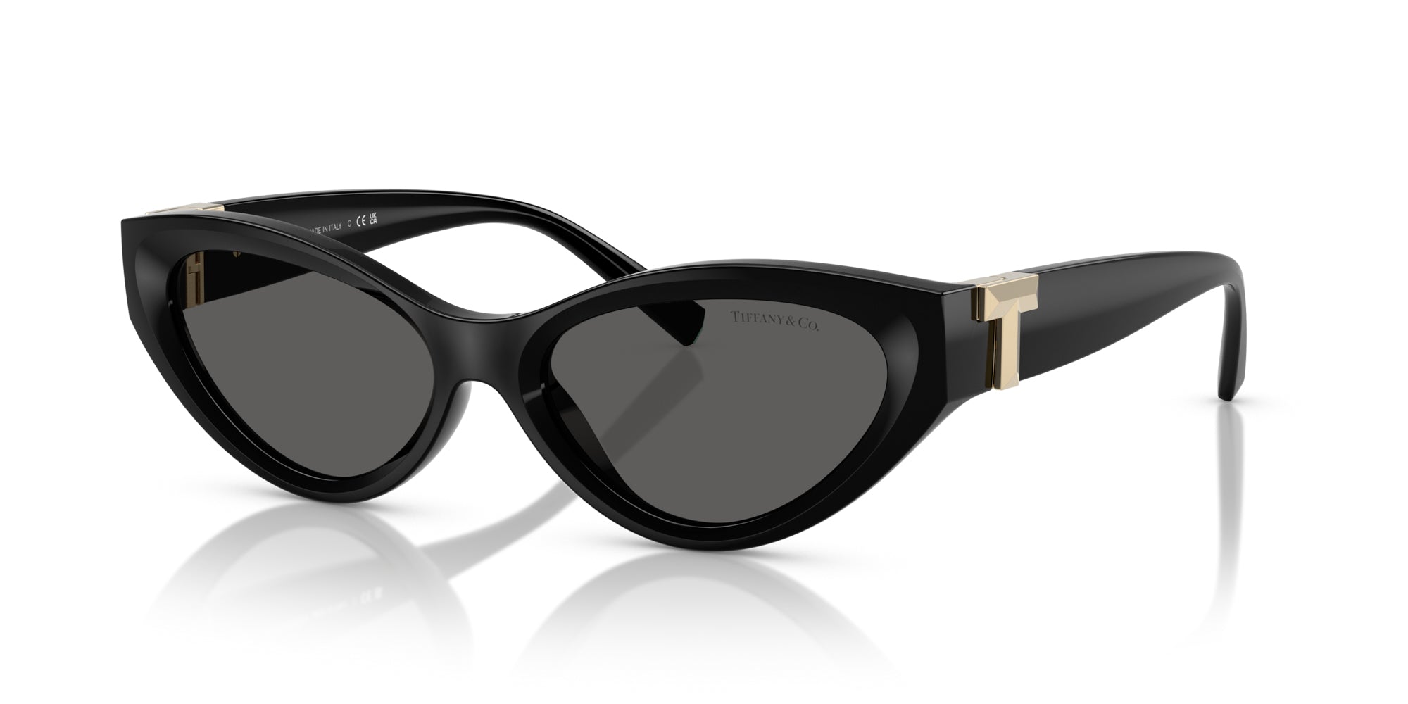 Tiffany TF4225U Oval Sunglasses | Fashion Eyewear US