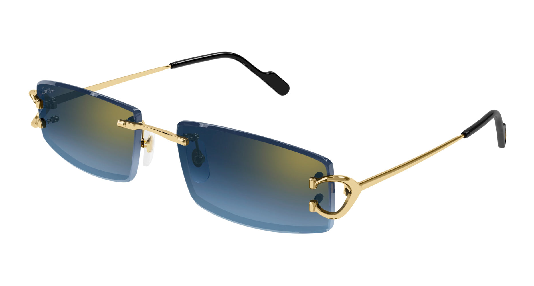 Cartier CT0465S Rectangle Sunglasses | Fashion Eyewear US