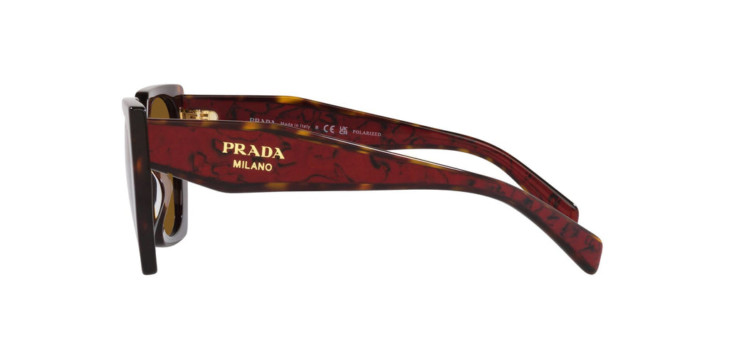 Prada SPR15W Square Sunglasses | Fashion Eyewear US