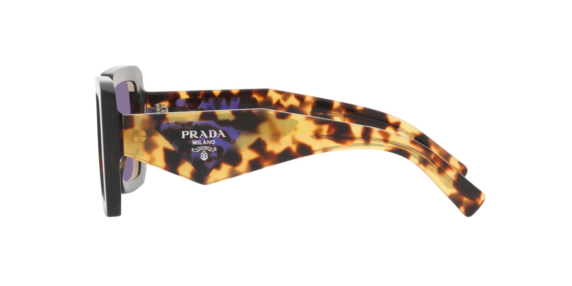 Prada SPR23Y Square Sunglasses | Fashion Eyewear US