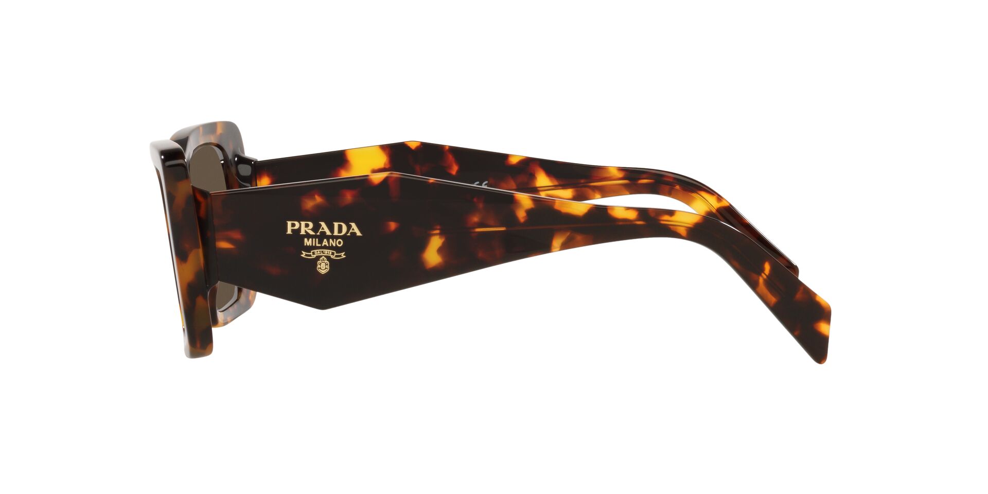 Prada SPR08Y Butterfly Sunglasses | Fashion Eyewear