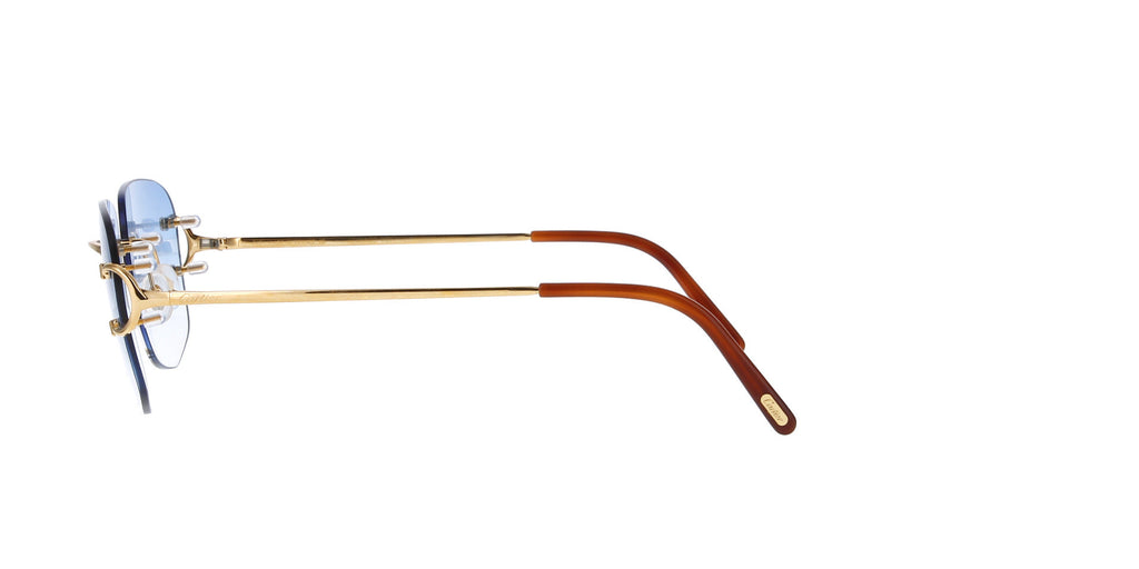 Cartier Piccadilly CT0092O Rectangle Glasses | Fashion Eyewear US